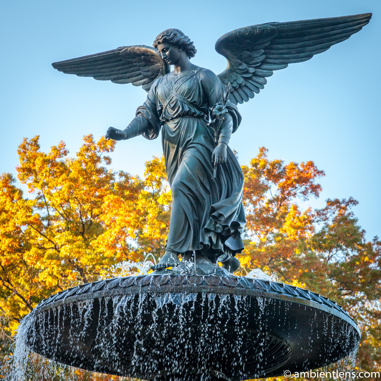 Bethesda Fountain Angel, Central Park, New York (SQ) – Ambient Lens